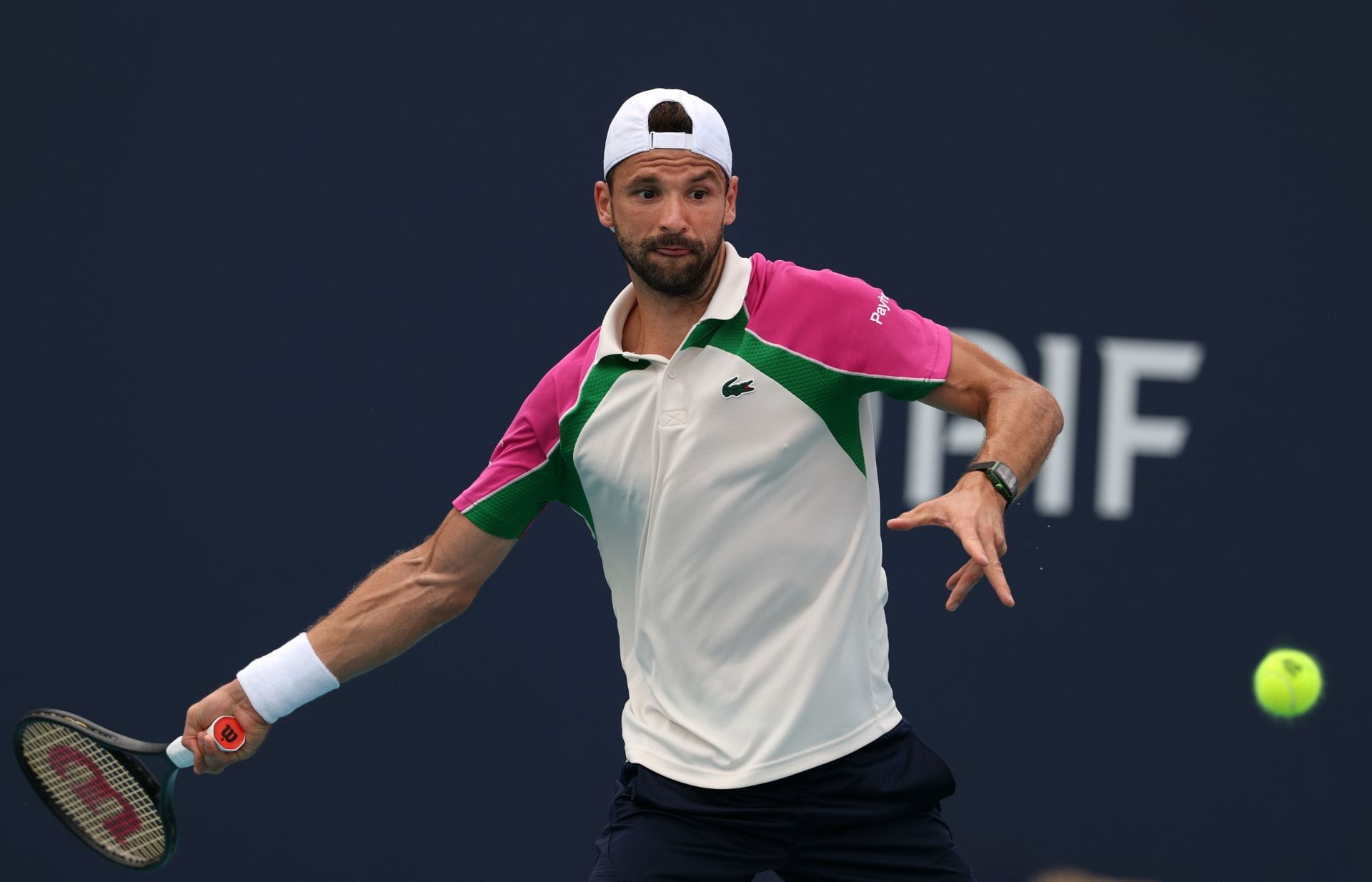 "Grigor Dimitrov fumbled so bad" - Fans go gaga over Bulgarian talking ...