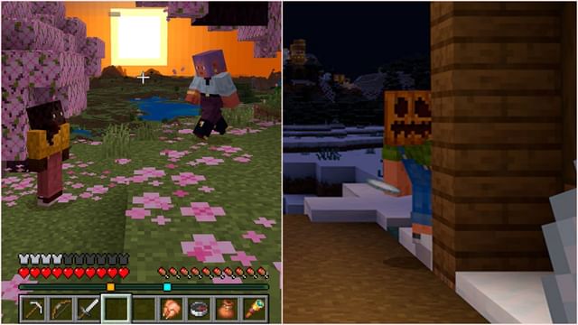 How to hide from the Player Locator bar in Minecraft