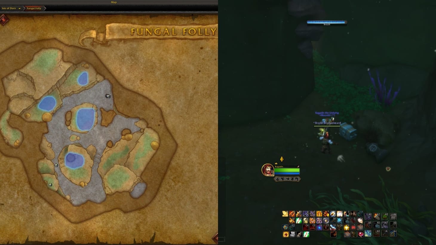 WoW: All Sturdy Chest locations in Fungal Folly