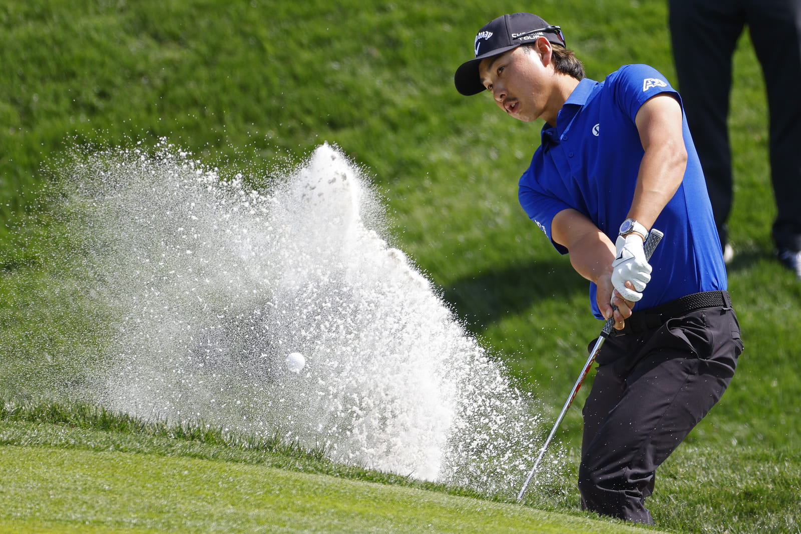 Has Min Woo Lee ever won on the PGA Tour? Career results explored