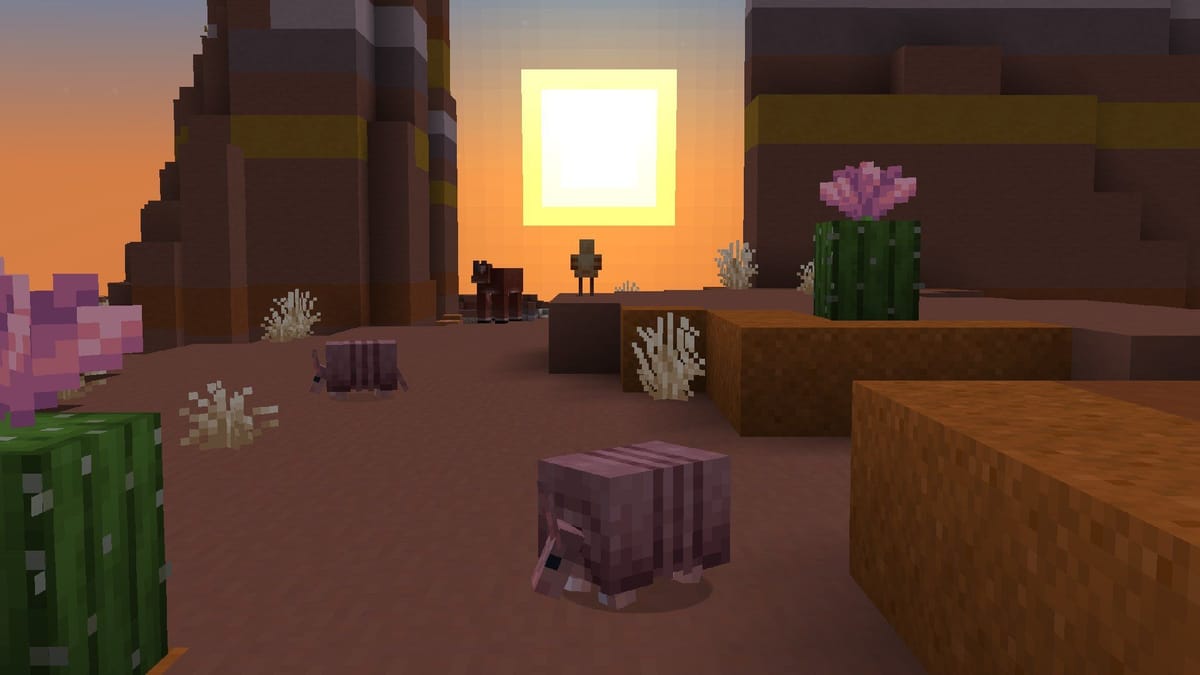 All Warm, Cold, and Temperate Biomes in Minecraft