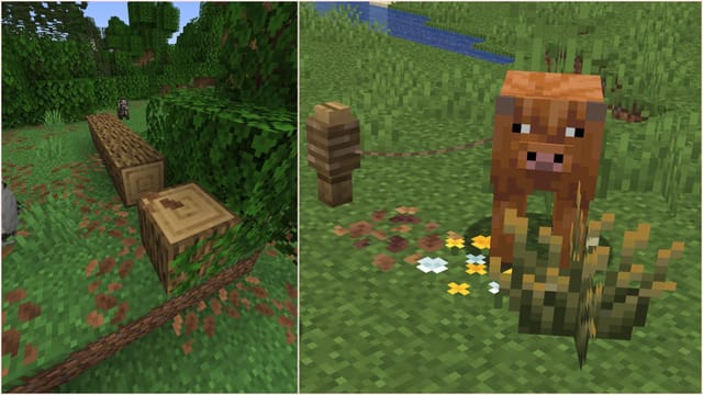 Upcoming Minecraft spring drop update is a big win for the Overworld