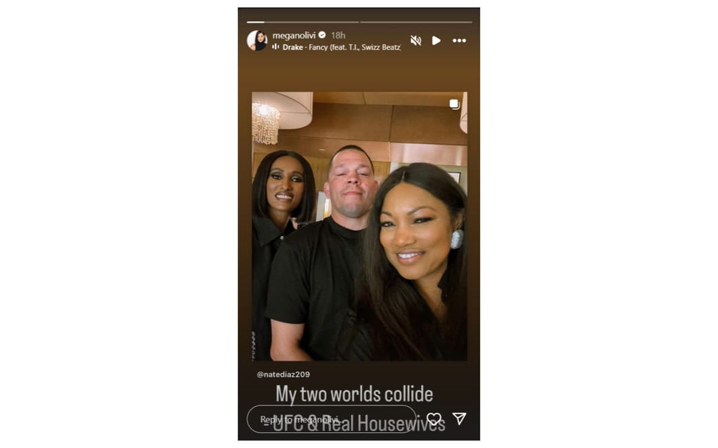 Nate Diaz: Nate Diaz's meetup with 'Garcelle and friends' has UFC ...