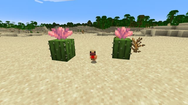 How to download Minecraft Bedrock 1.21.70 update