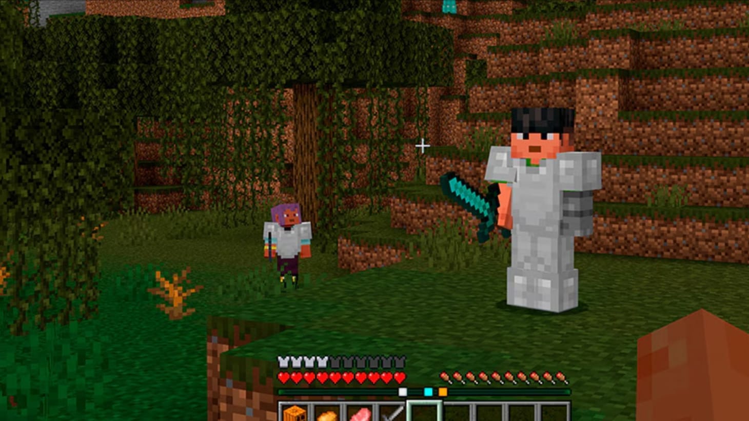 Minecraft Player Locator bar explained