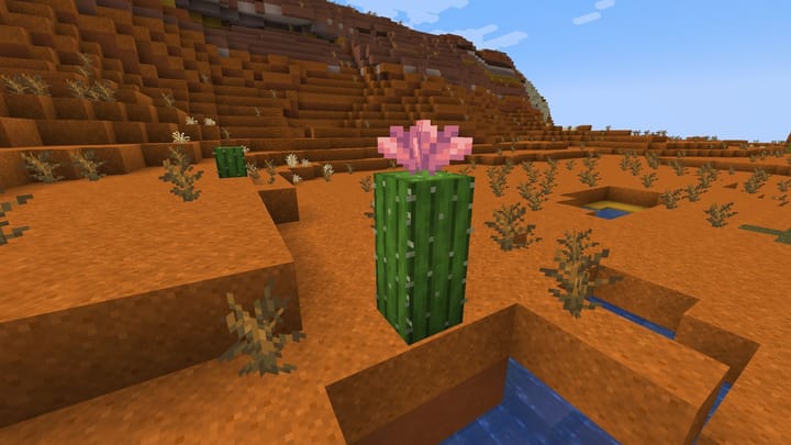 What is the Minecraft Spring to Life game drop update?