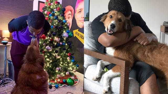 Nmplol pays emotional tribute to dog Kevin after it was put down