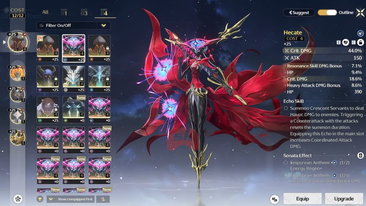 Cantarella: Best Cantarella build guide in Wuthering Waves: Echoes ...