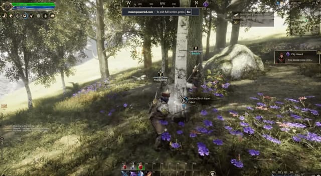 The Quinfall: 5 beginner tips