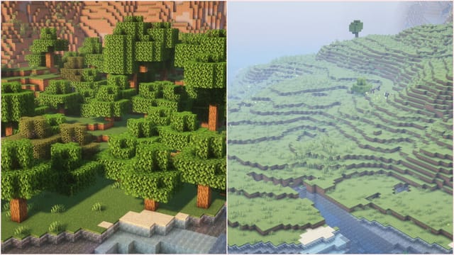 5 most common biomes in Minecraft in 2025