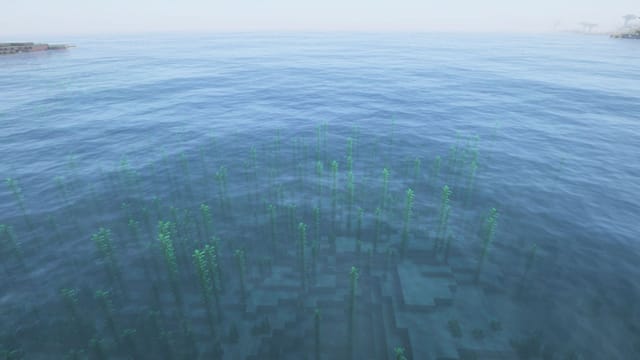 5 most common biomes in Minecraft in 2025