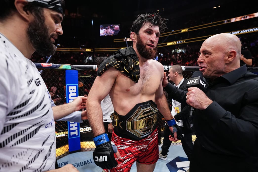 UFC Weight Classes in Order | Men & Women UFC Weight Divisions