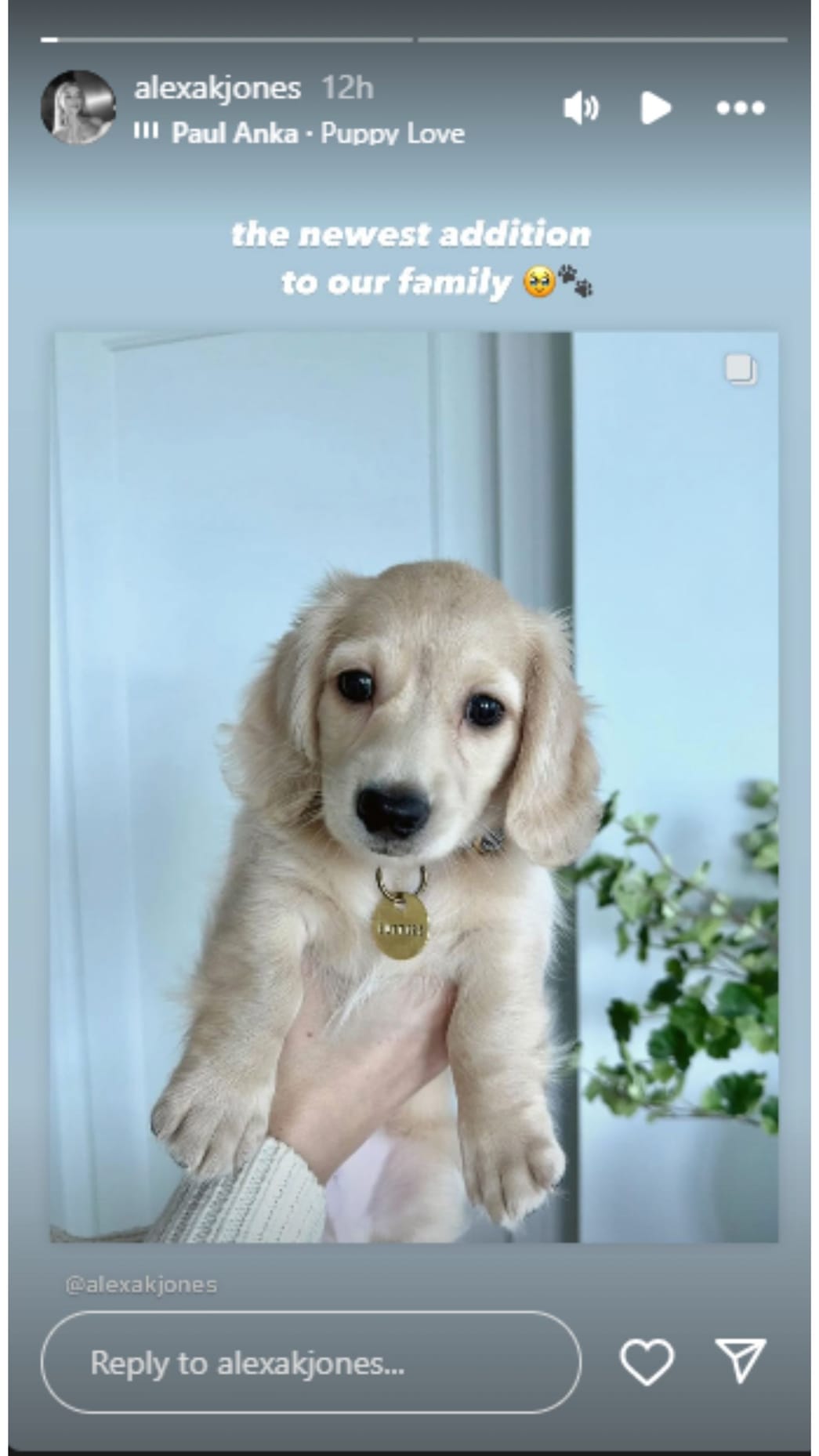 "My whole heart": Oilers’ Max Jones' wife Alexa introduces the 'newest addition' to their family