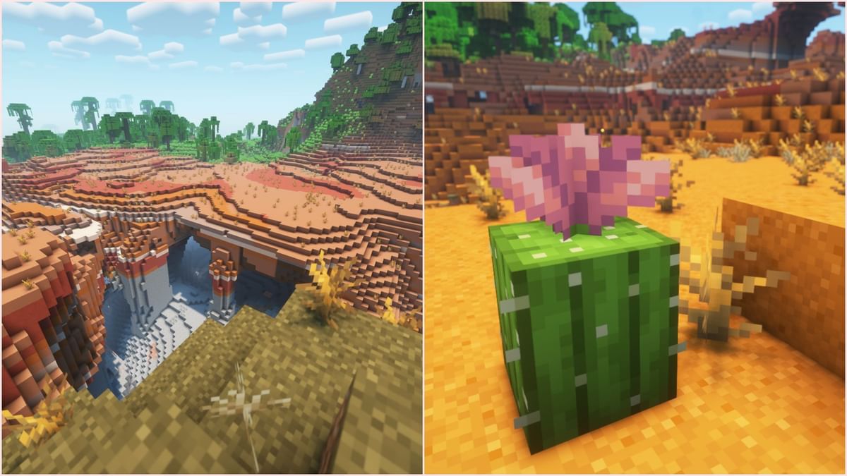 5 best seeds for Minecraft Spring to Life game drop