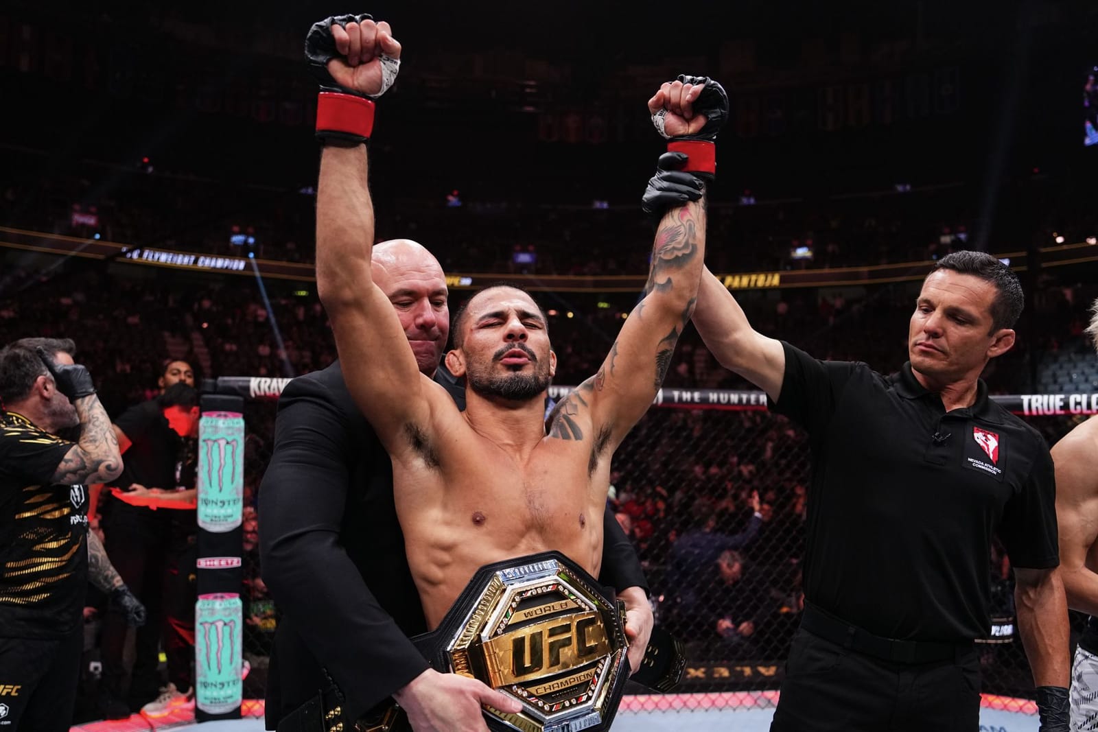 UFC Weight Classes in Order | Men & Women UFC Weight Divisions