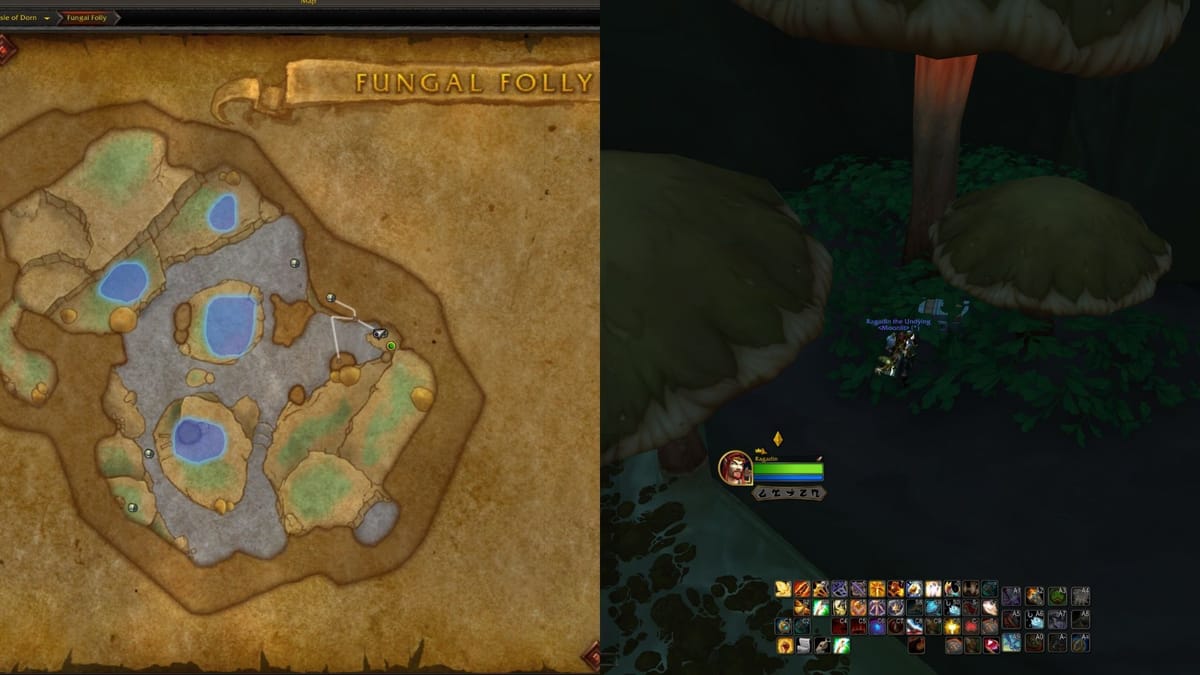 WoW: All Sturdy Chest locations in Fungal Folly
