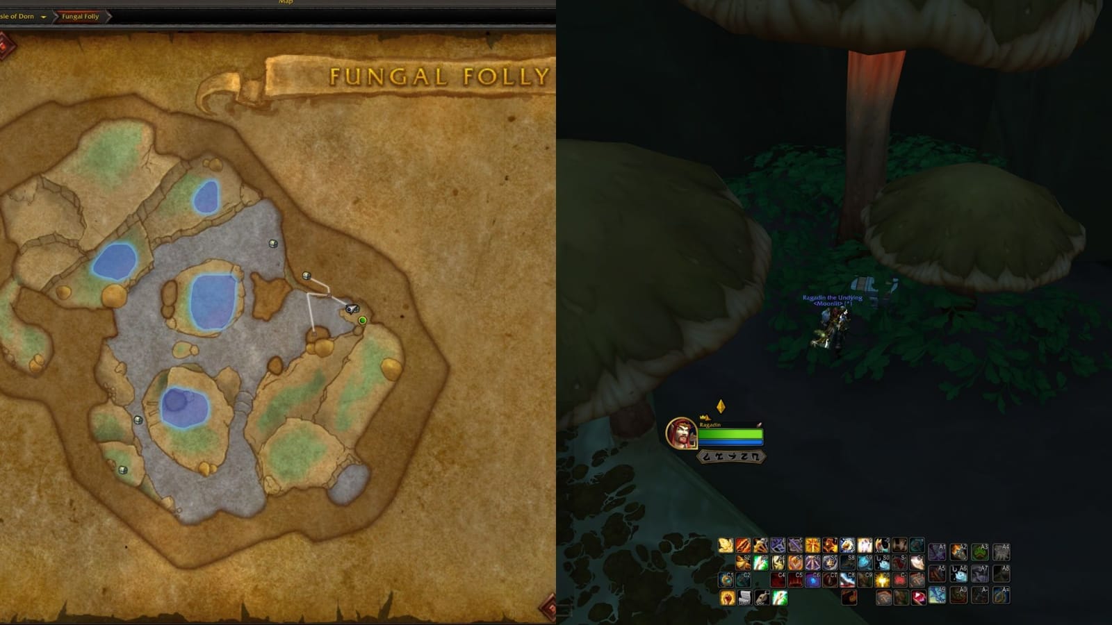 WoW: All Sturdy Chest locations in Fungal Folly