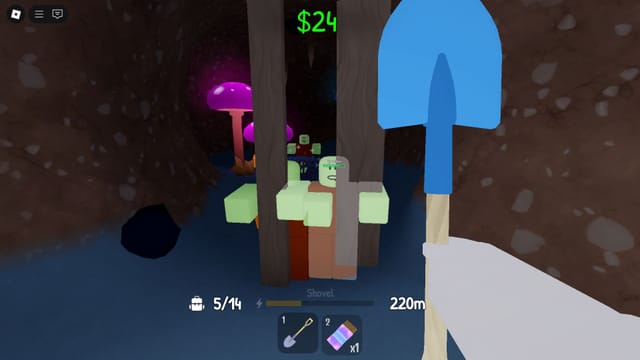 Dig the Backyard: A beginner’s guide