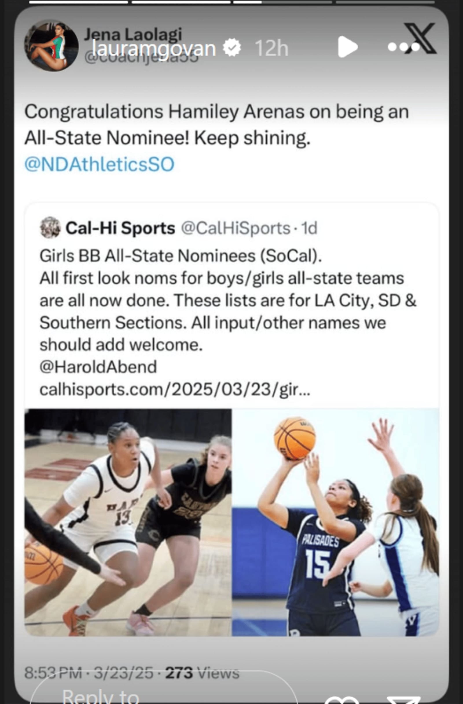 Gilbert Arenas' daughter Hamiley Arenas earns All-State girls ...