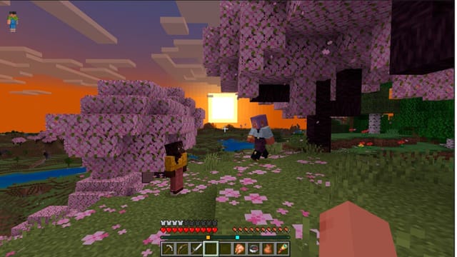 Minecraft Player Locator bar explained