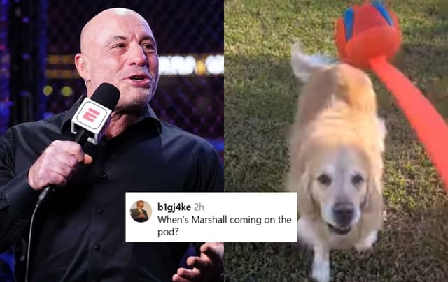 "When’s Marshall coming on the pod?" - Fans react as Joe Rogan shares ...
