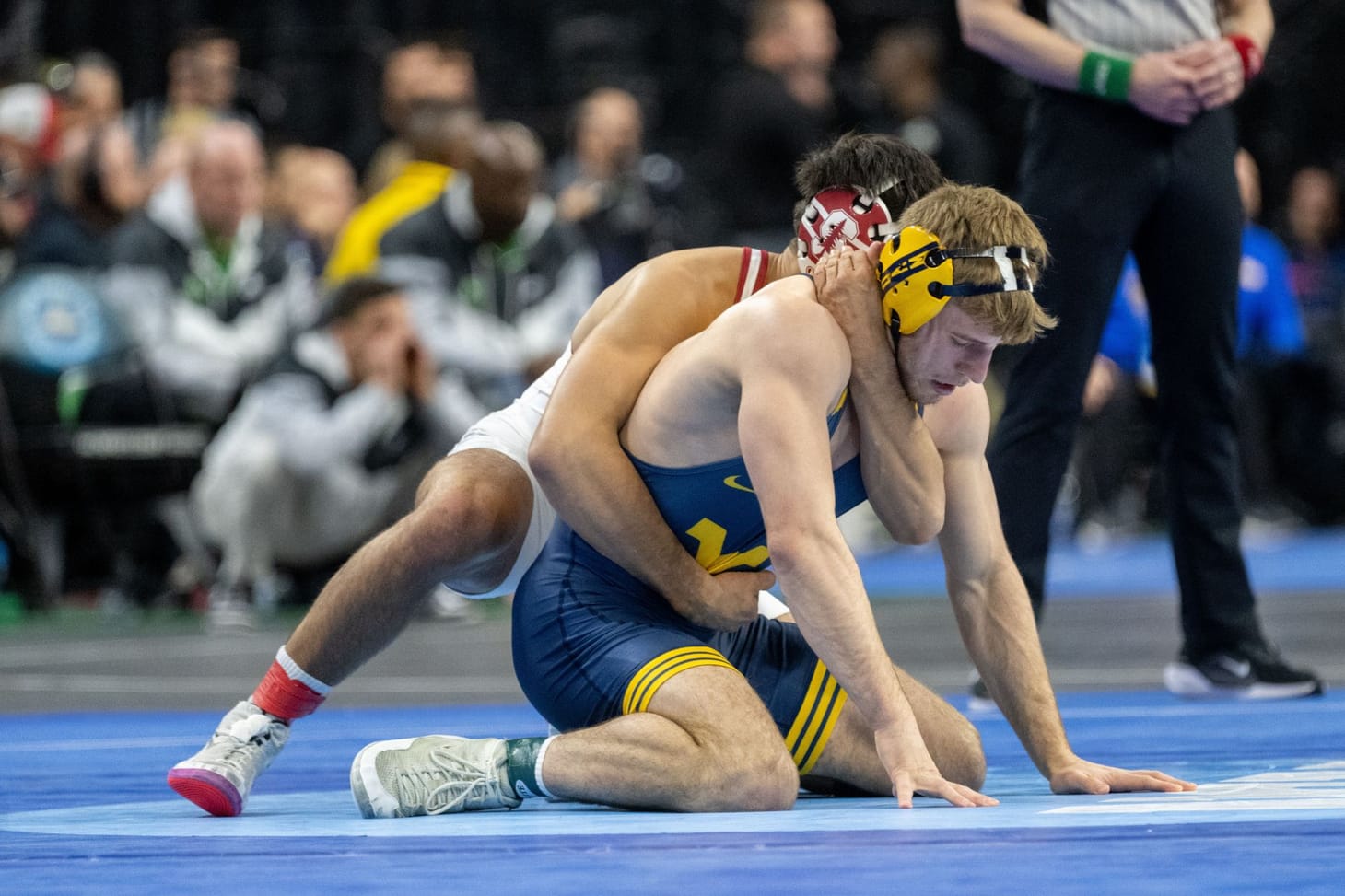 Peyton Hall dons MAGA hat, shakes hands with President Donald Trump at ...