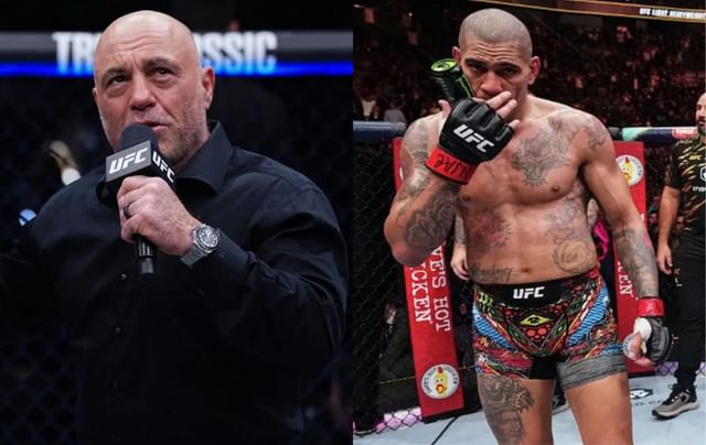 Alex Pereira: Joe Rogan makes shocking claim about Alex Pereira ...