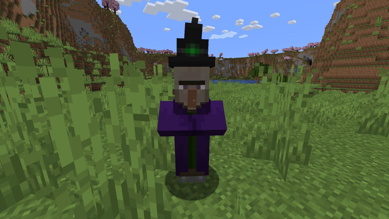 All Raid Mobs In Minecraft