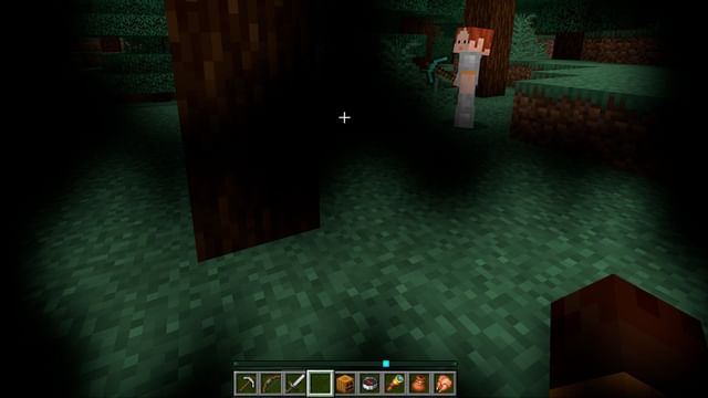 What is the locator bar in Minecraft?