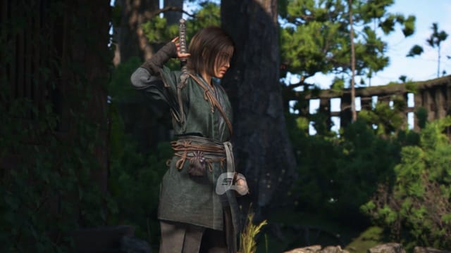 All combat options for Naoe in Assassin's Creed Shadows