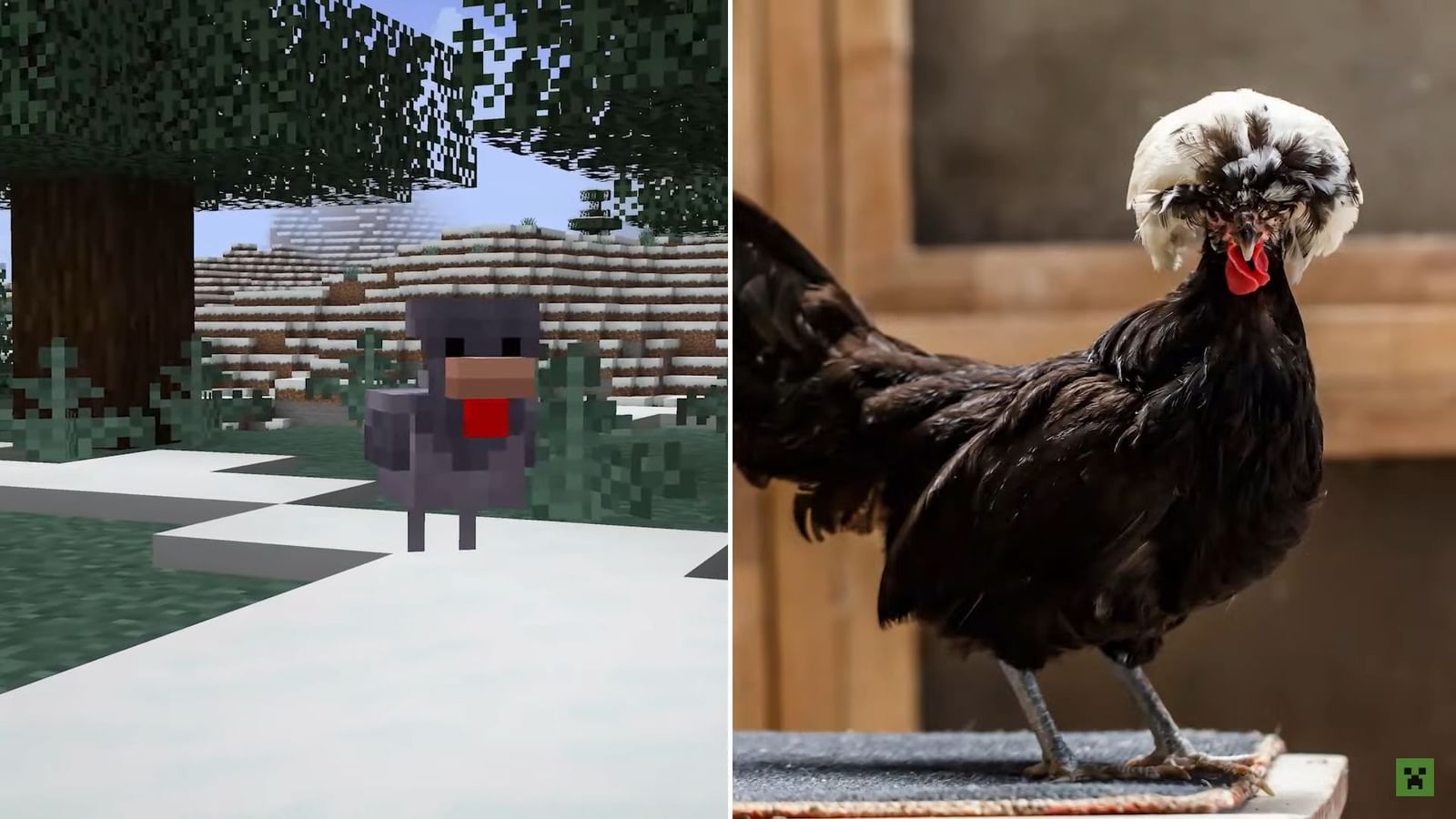Minecraft reveals the inspirations for the new variants
