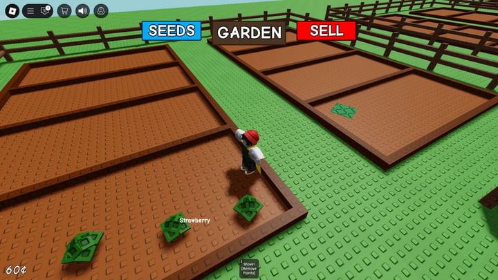 Grow a Garden: A beginner's guide