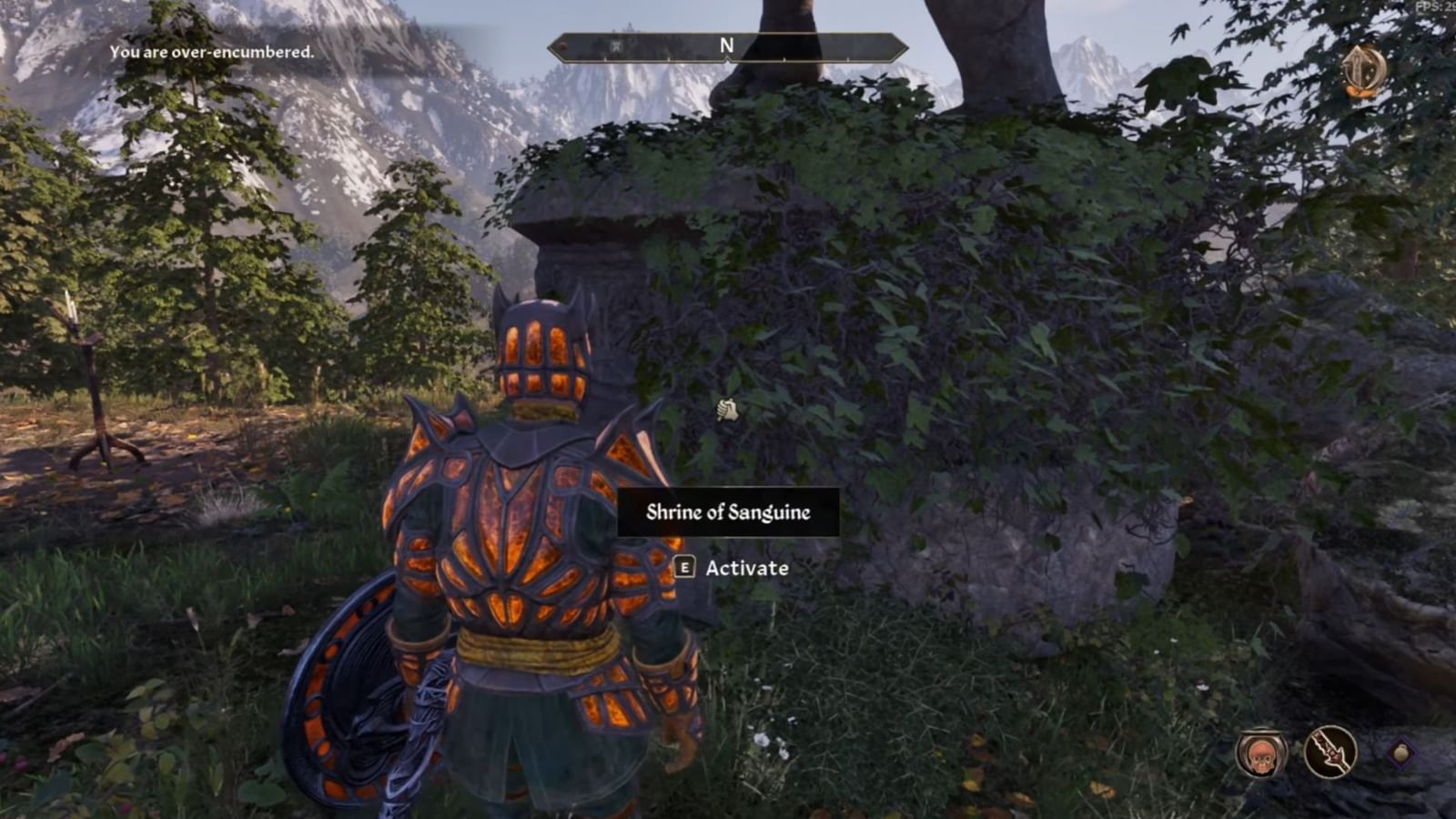 Oblivion Remastered: Oblivion Remastered: How to get Sanguine's Rose to ...