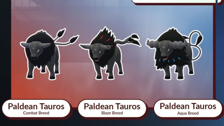 How to get Blaze Breed Paldean Tauros in Pokemon GO, and can it be shiny?