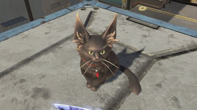 Apex Legends: Every known Artemis cat location in Apex Legends