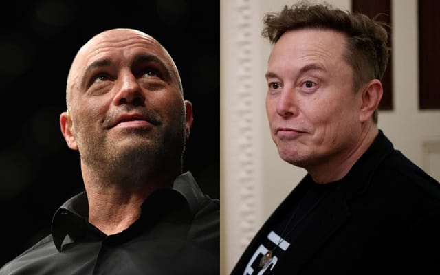 Elon Musk gives one-word reaction as Joe Rogan gushes over resurrection ...