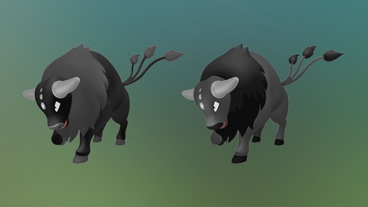 How to get Combat Breed Paldean Tauros in Pokemon GO, and can it be shiny?