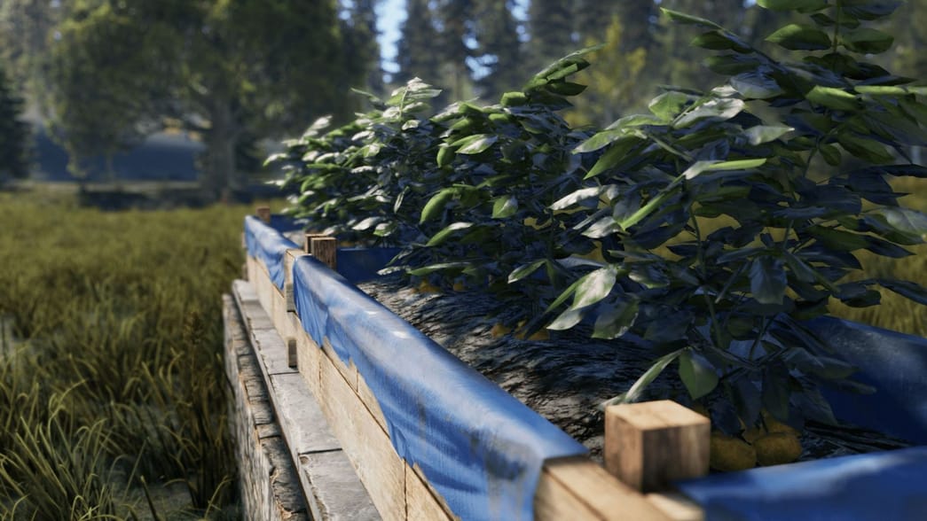 How to get Cloth in Rust