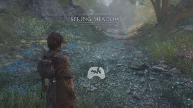 Spring Meadows: Clair Obscur: Expedition 33 - (Act 1) Complete Spring ...