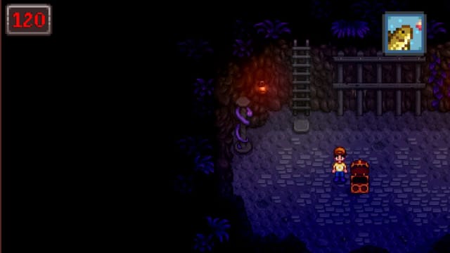 Stardew Valley: What is Calico Desert in Stardew Valley?