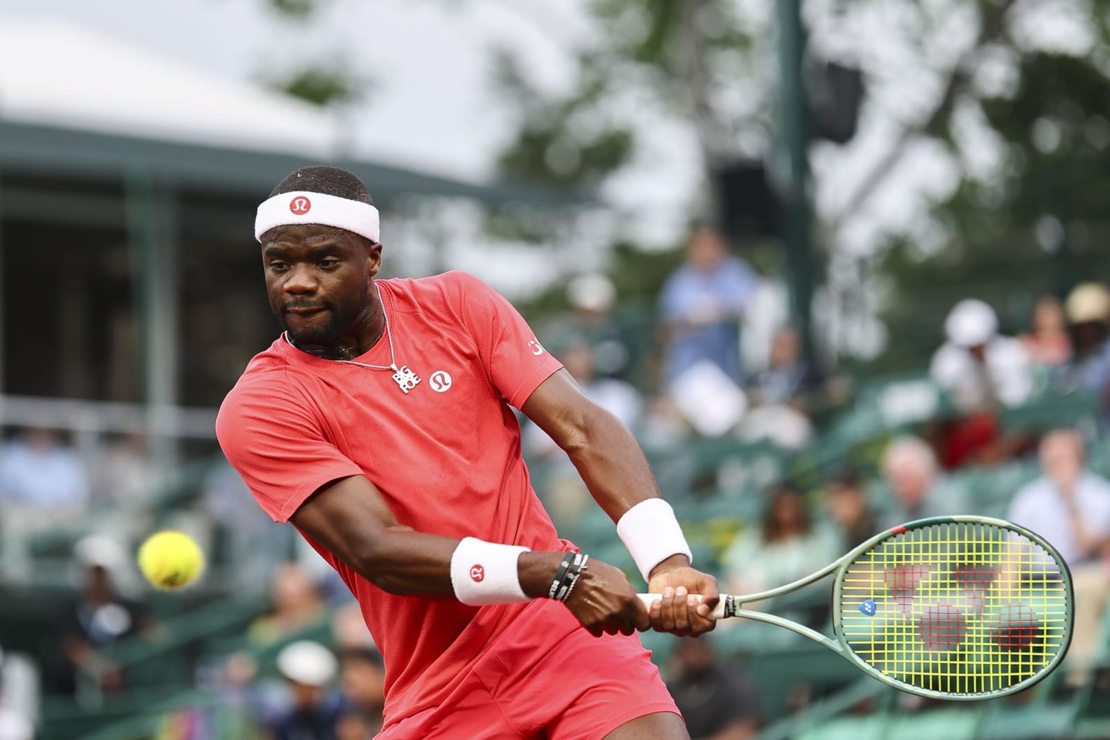 Houston 2025: Frances Tiafoe vs Alex Michelsen preview, head-to-head ...