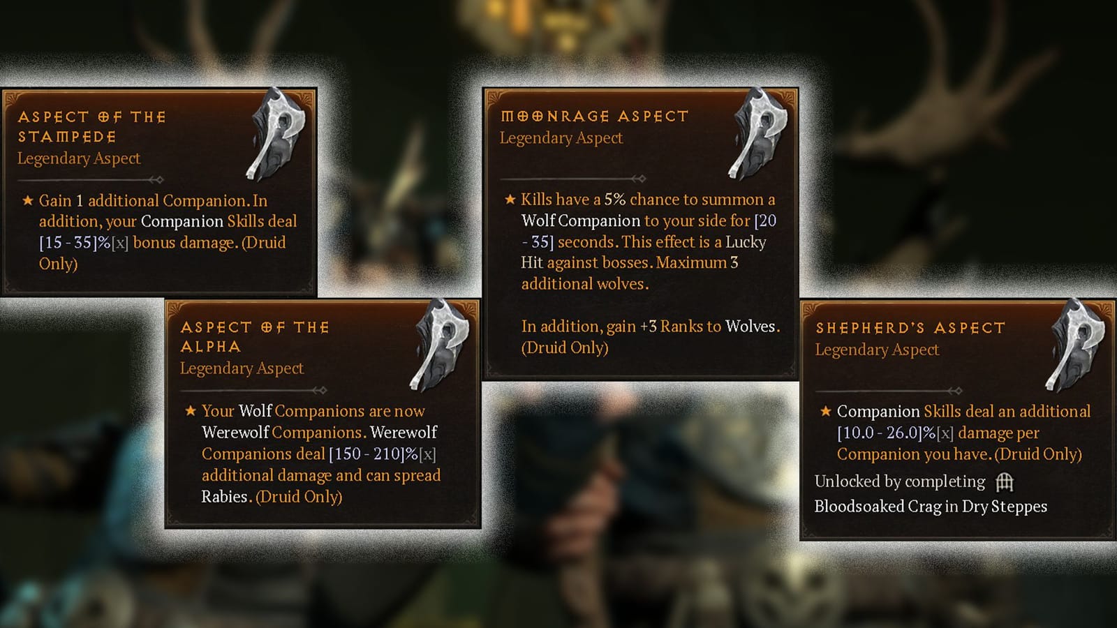 Diablo 4: Best Companion Druid endgame build guide