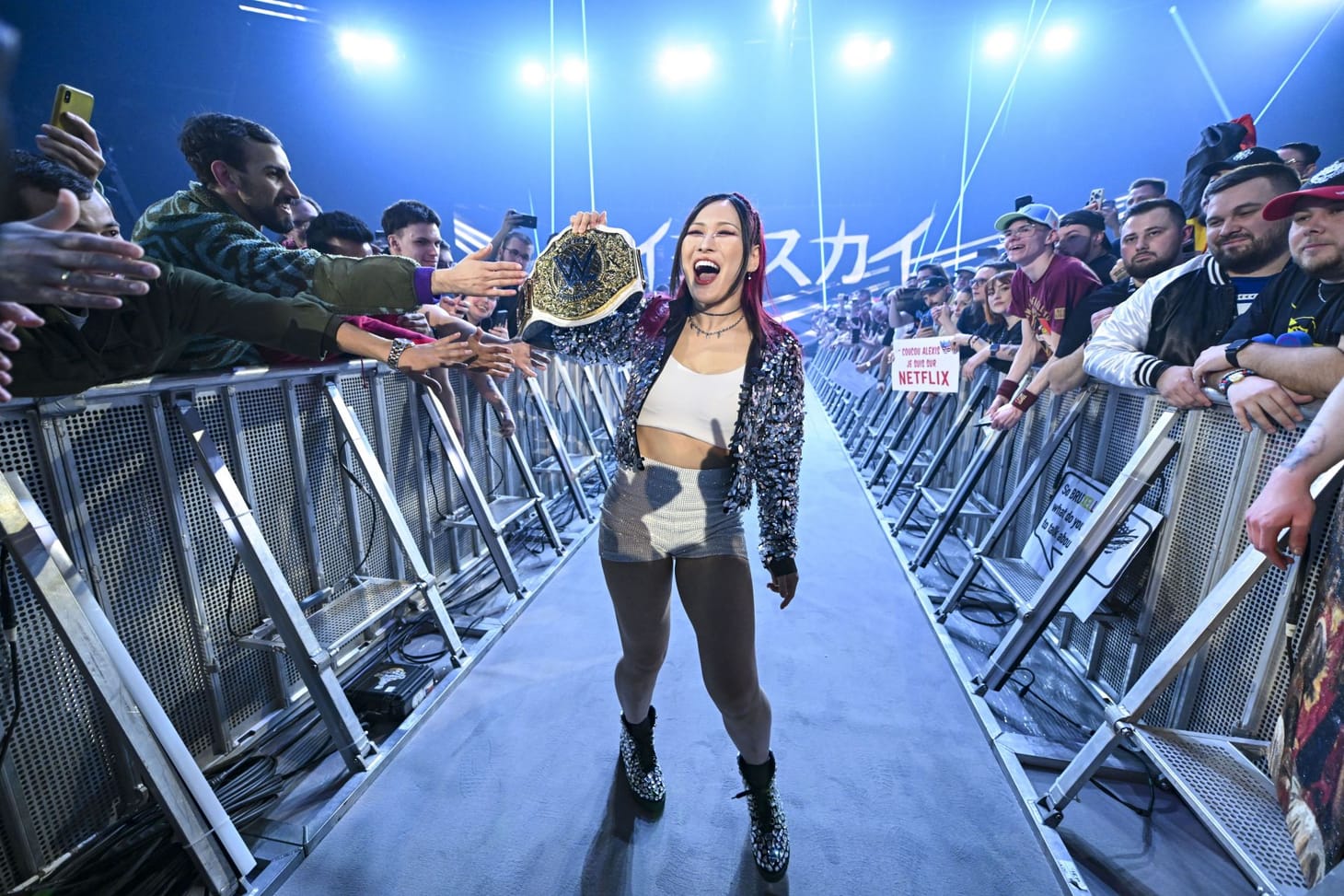 What is the theme song and finisher of Iyo Sky?