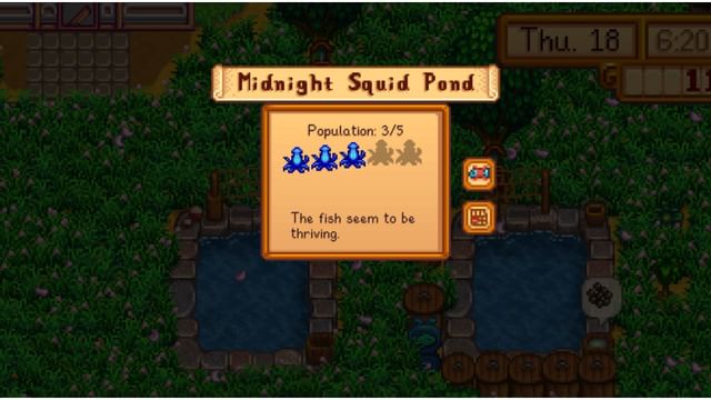 Midnight Squid in Stardew Valley: Where to find and how to use it