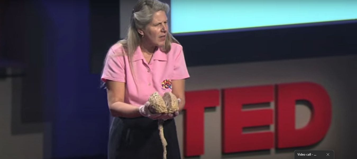 Neuroanatomist Dr. Jill Bolte Taylor dissects the feeling of anger with ...