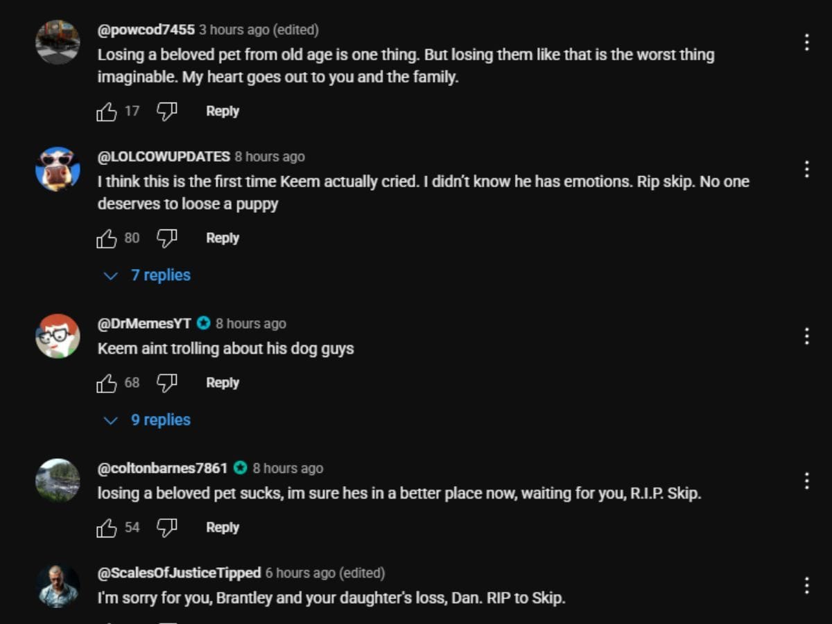 “My dog just got killed” - Keemstar’s pet dog tragically passes away ...