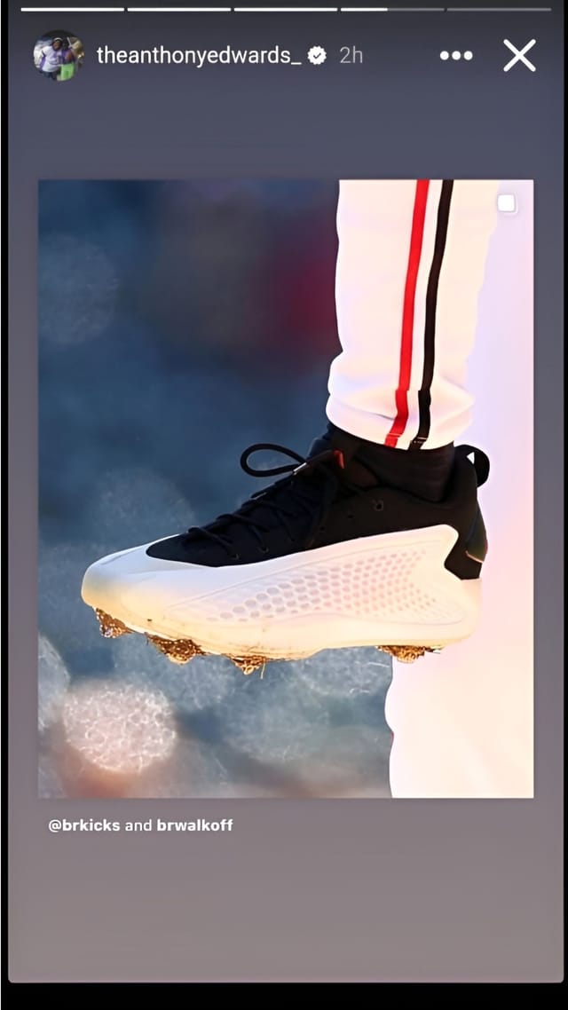 Anthony Edwards drops 2-word shoutout as Minnesota Twins pitcher Bailey ...