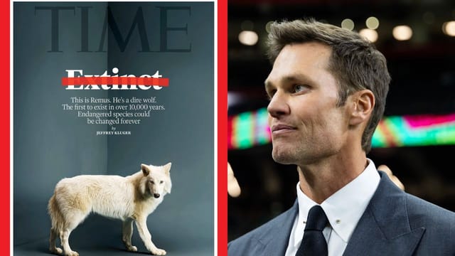 "So proud" - Tom Brady supports Colossal Biosciences firm for ...