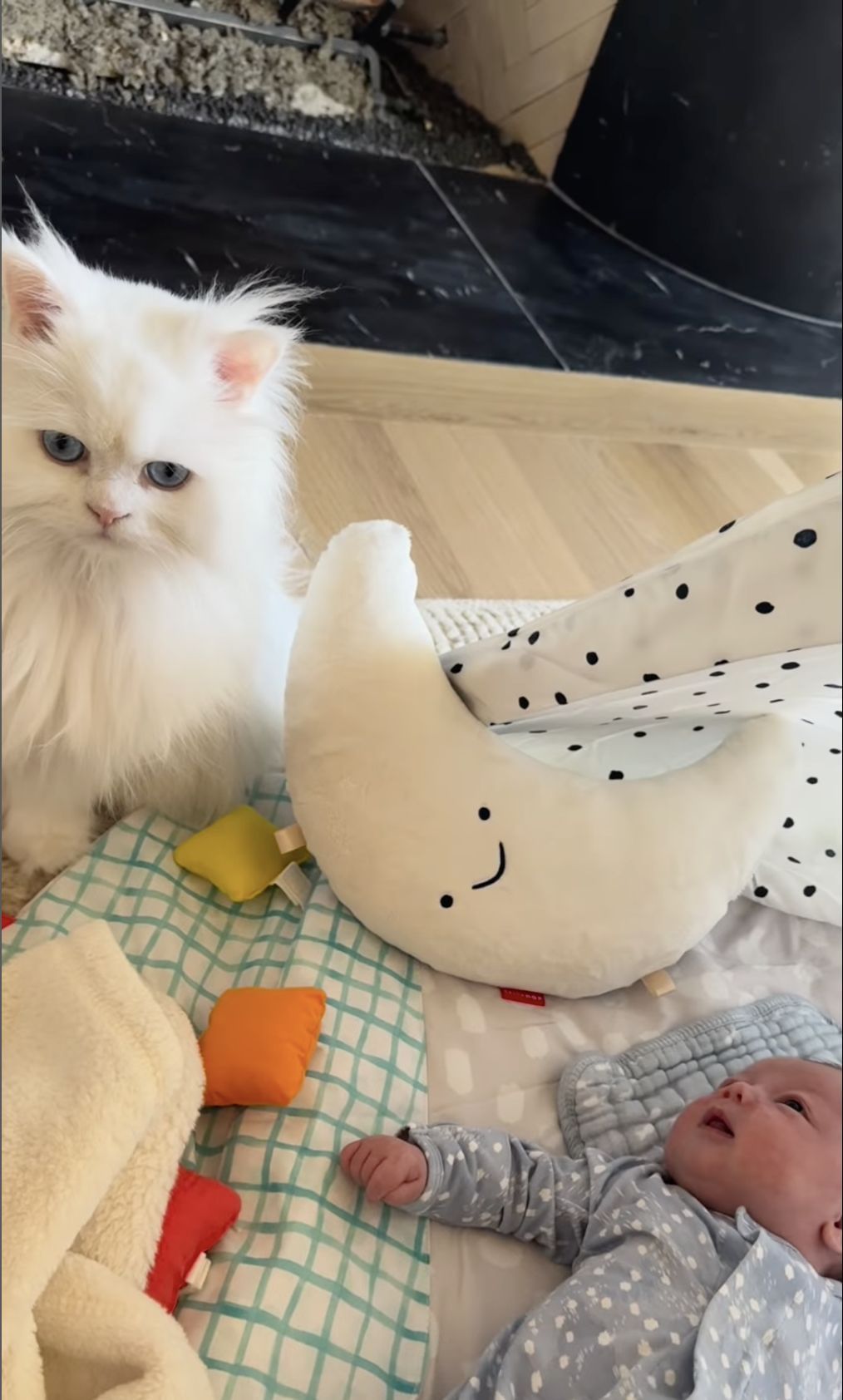 Stars captain Jamie Benn and wife Jessica share first glimpse of their ...