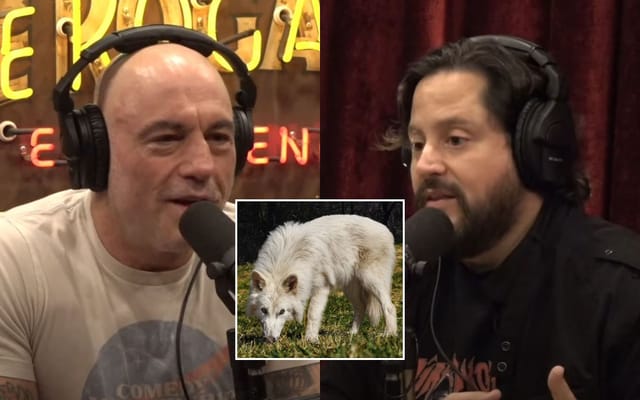 Ben Lamm details how AI played key role in dire wolves' resurrection on ...